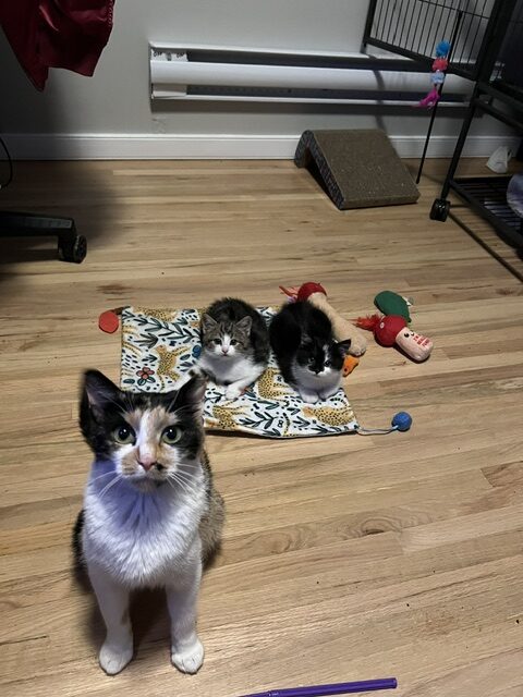 Buffy - Rescue Friends